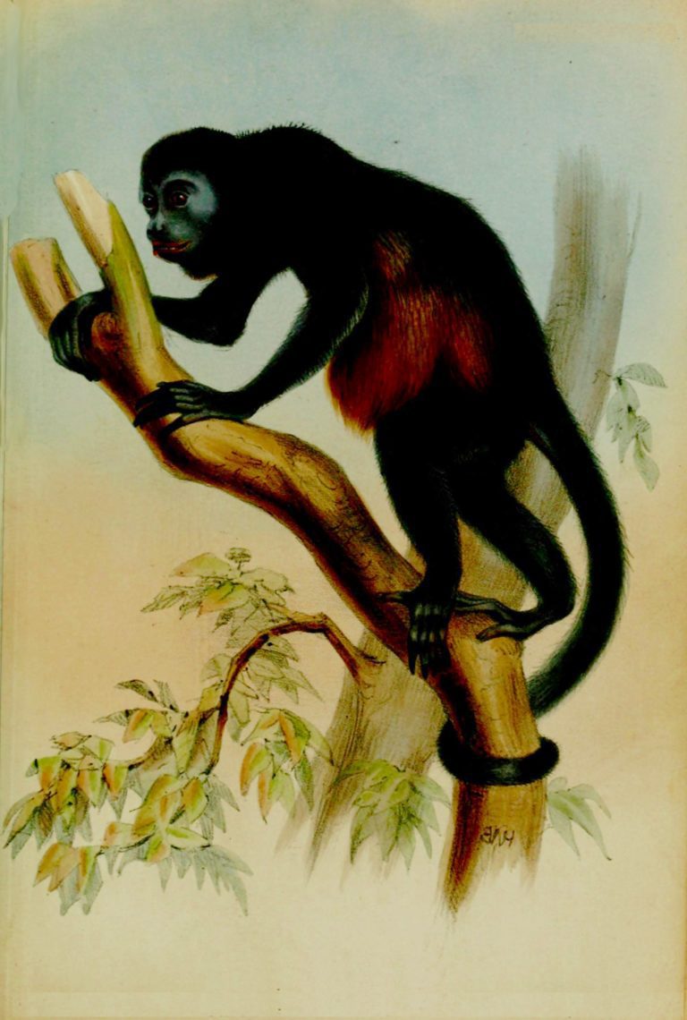 LAS LEYENDAS DE COSTA RICA, MAS CONOCIDAS Y CONTADAS